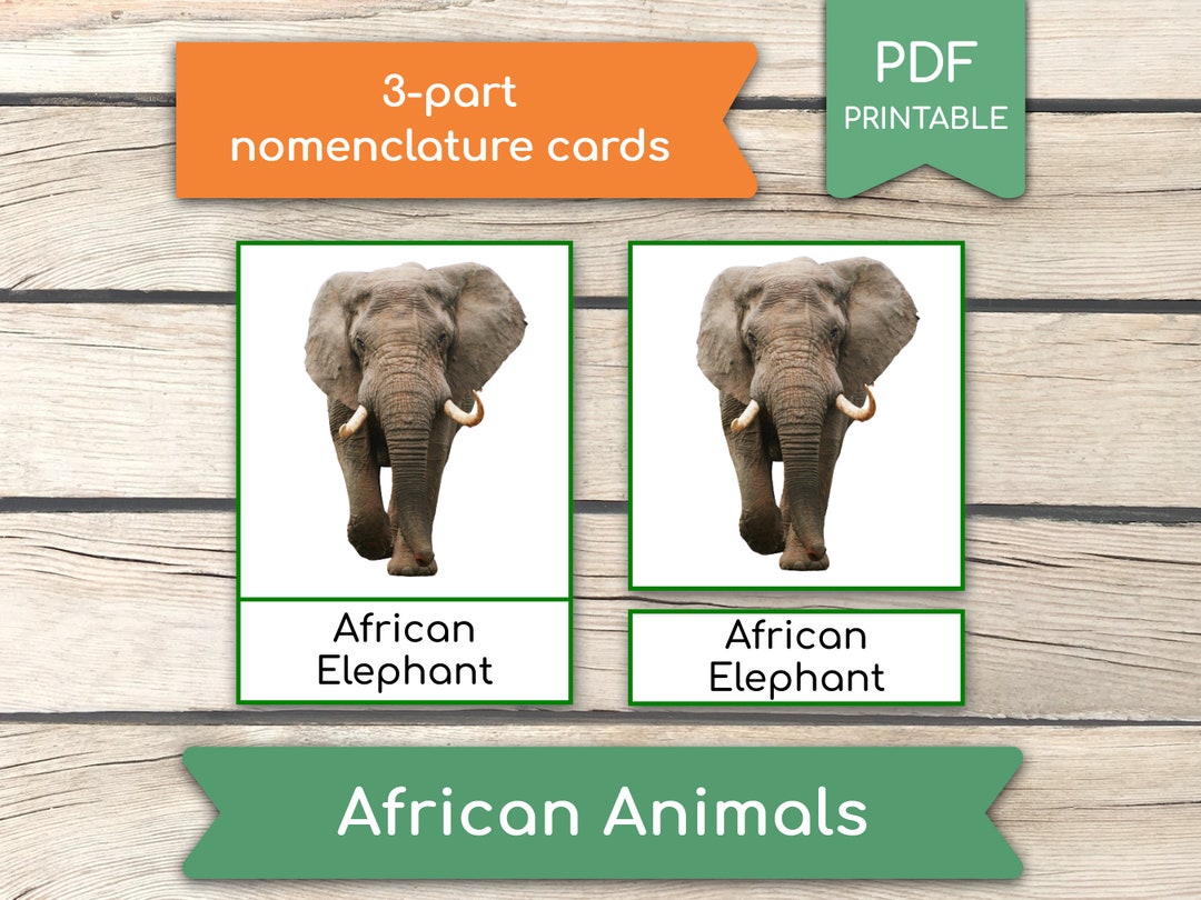 AFRICAN ANIMALS 14 Animals Montessori Cards, 3-part Cards, Nomenclature ...