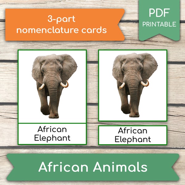 African Animals - Etsy