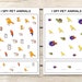 Pet Animals I Spy Worksheet, Pet Animals Activity, I Spy Activity ...