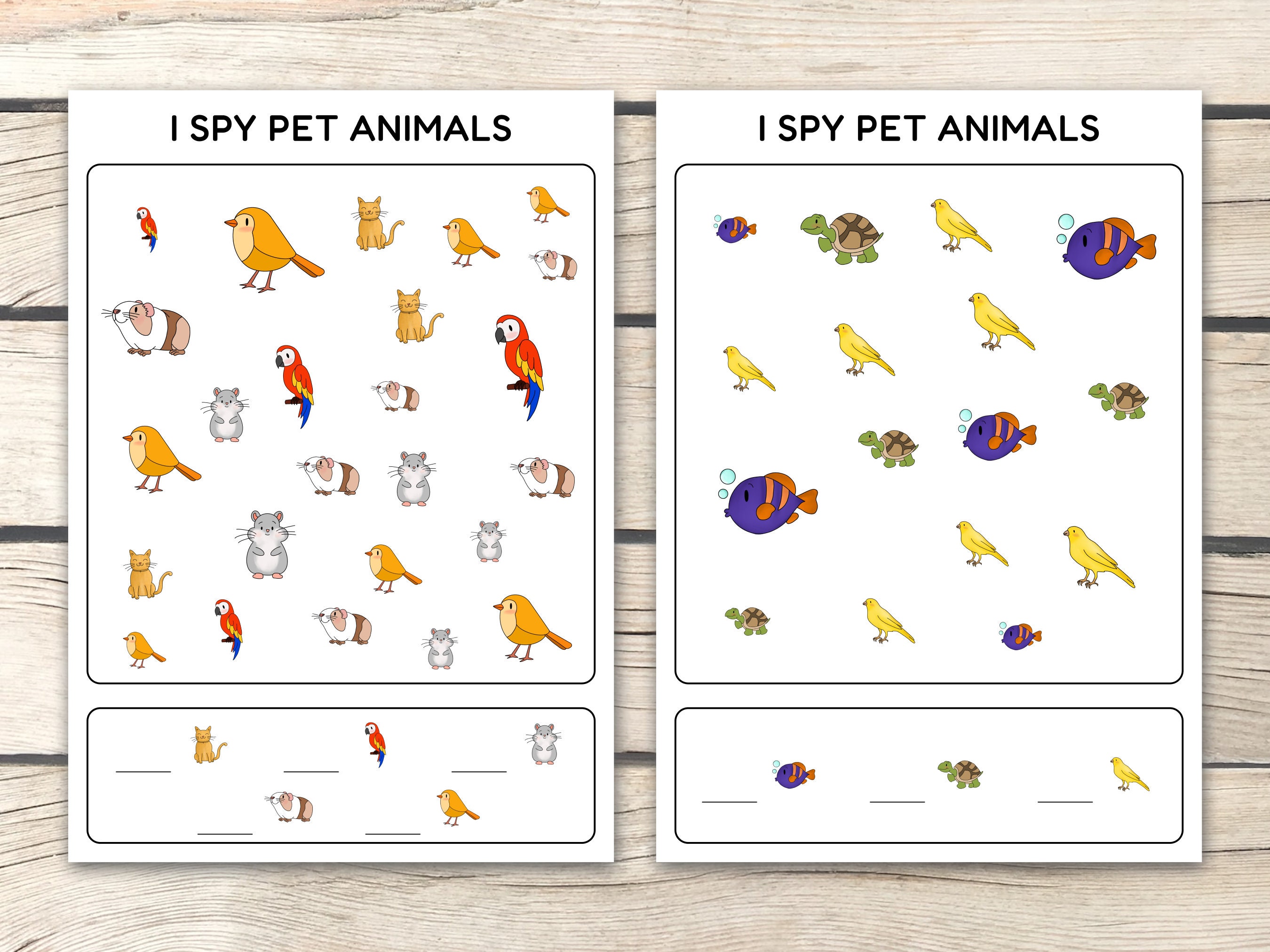 Pet Animals I Spy Worksheet, Pet Animals Activity, I Spy Activity ...