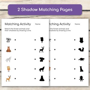 Forest Animals Matching Activity 5 Different Types Worksheet • 10 Pages ...