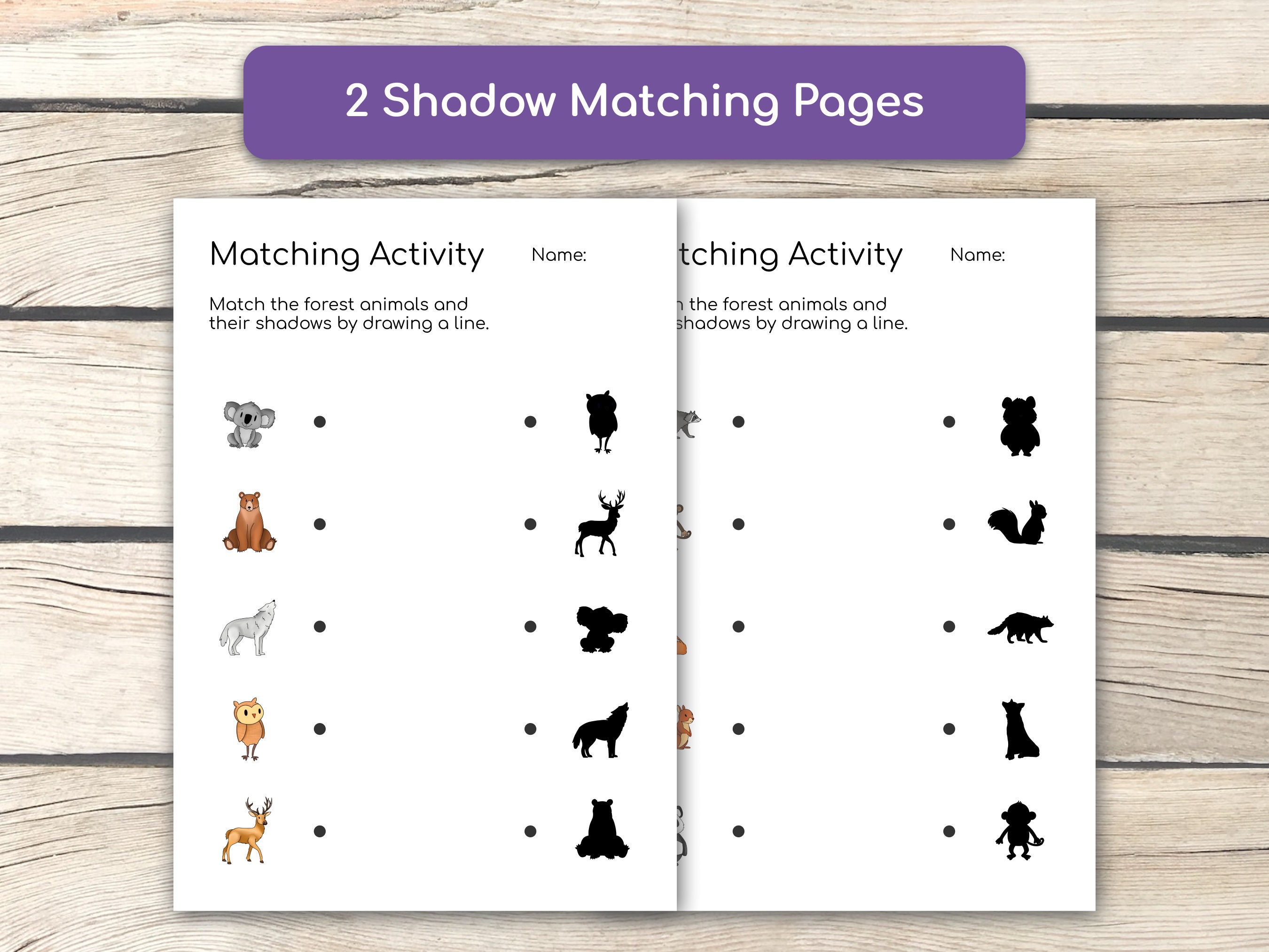 Forest Animals Matching Activity 5 Different Types Worksheet • 10 Pages ...