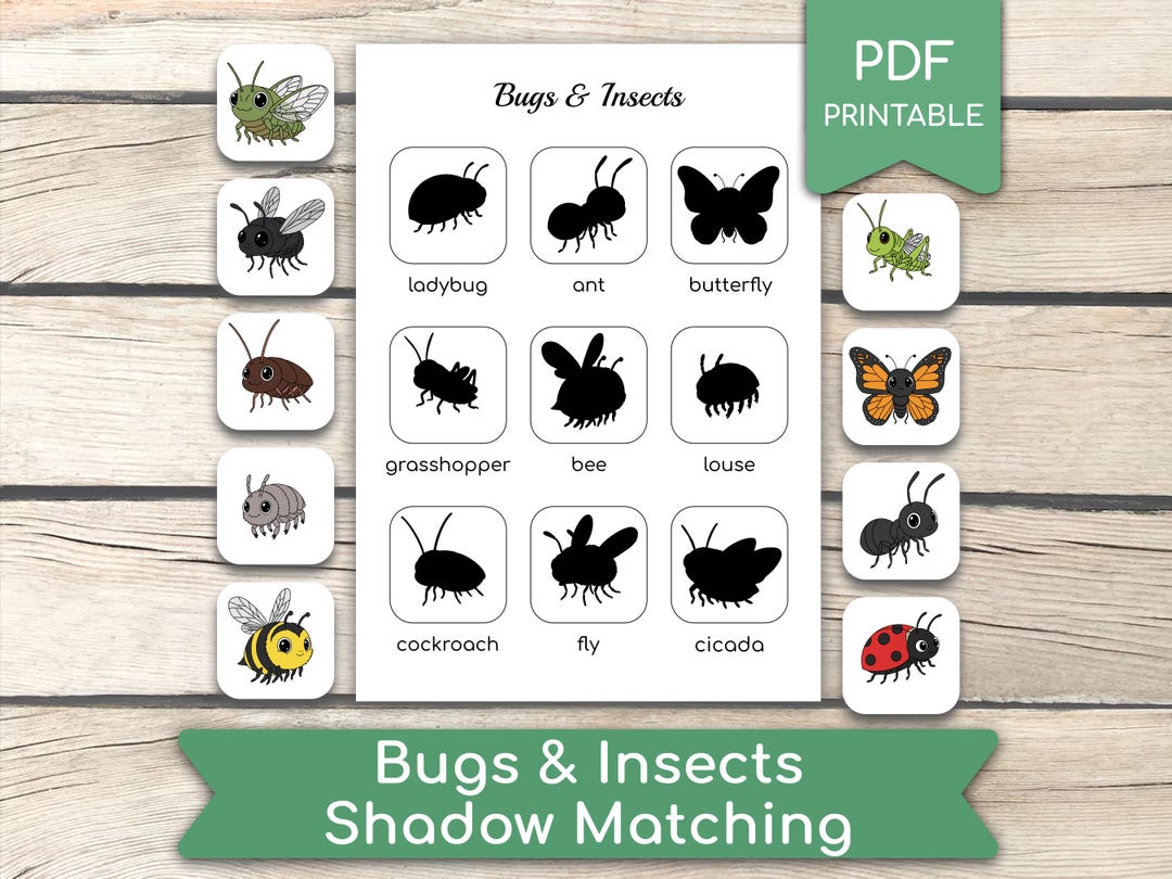 Bugs & Insects Shadow Matching Game, Preschool Activity (PDF Printables ...