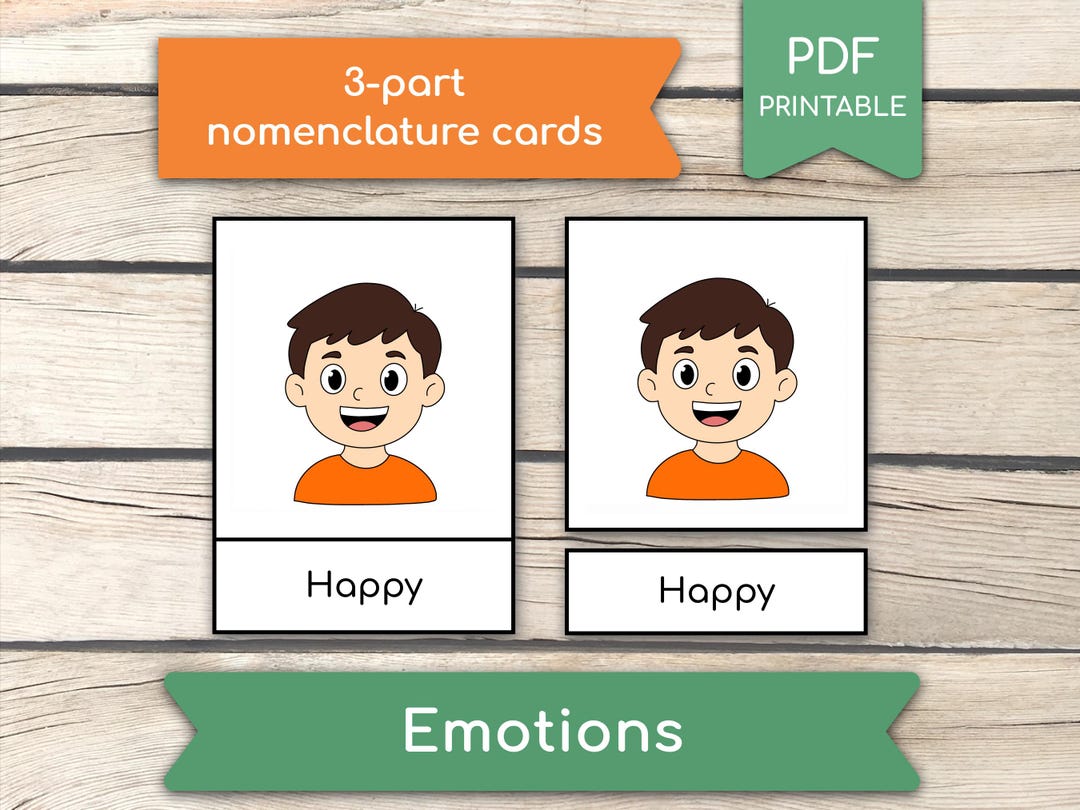 Emotions, Emotions 3 Part Cards, 3-part Card, Nomenclature Flashcards ...