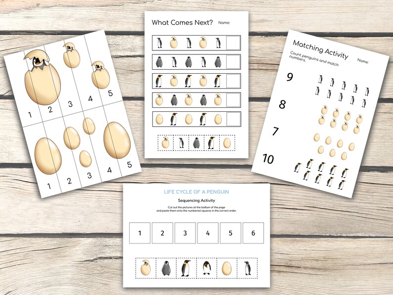 Penguin Life Cycle Activity Bundle, Penguin Activities, Learn Penguin ...