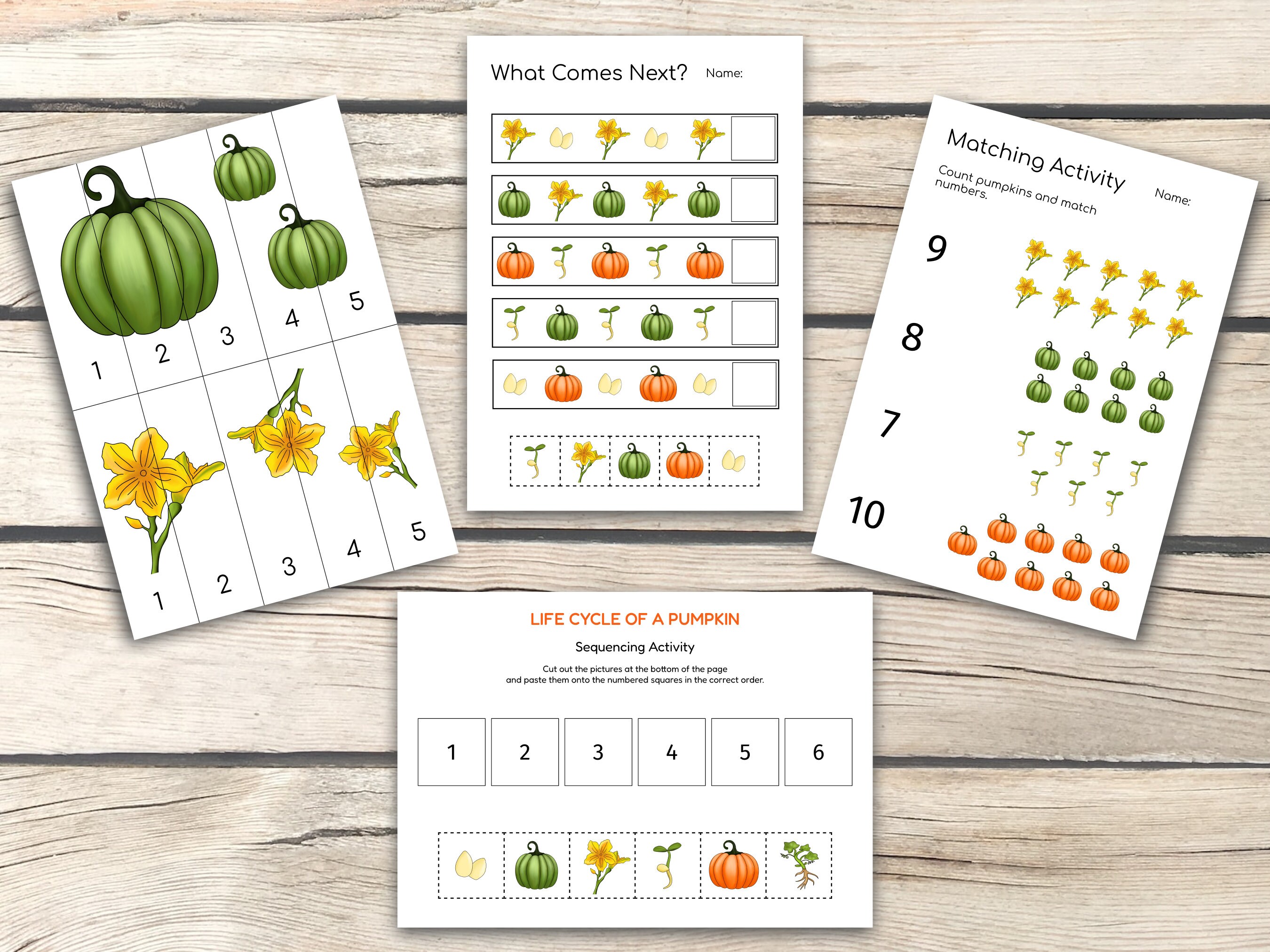 Pumpkin Life Cycle Activity Bundle, Pumpkin Activities, Learn Pumpkin ...
