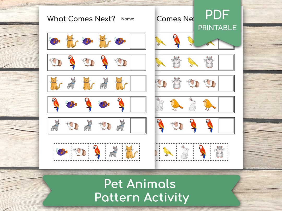 WHAT COMES NEXT? Pet Animals Worksheet, Pattern Activity, Educational ...