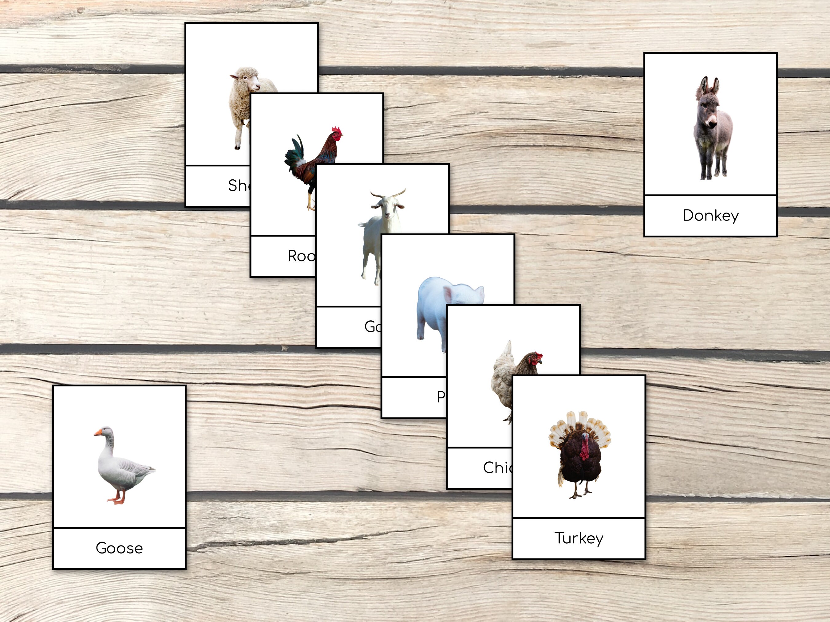 10 Farm Animals (real Pictures) Montessori Cards, Farm Animals Cards ...