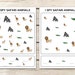 Safari Animals I Spy Worksheet, Safari Animals Activity, I Spy Activity ...