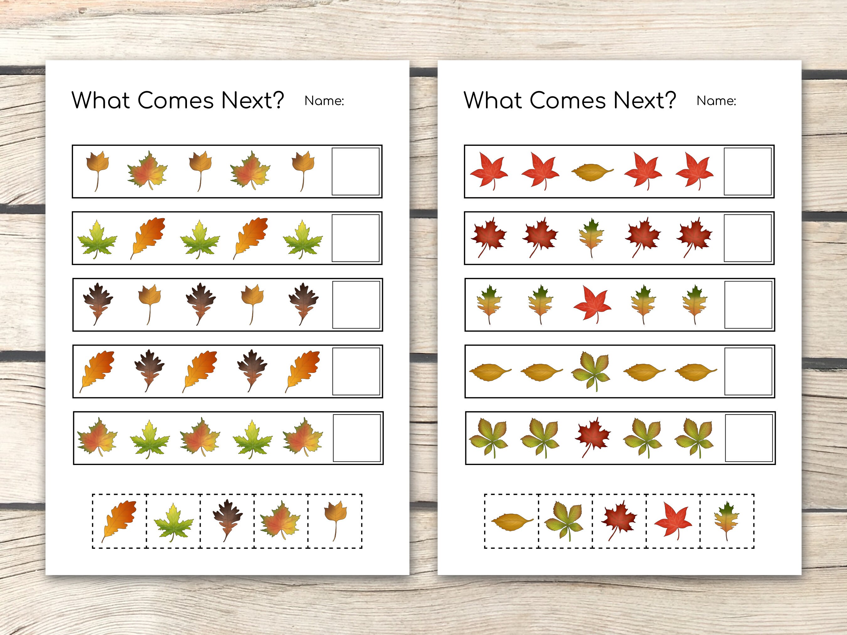 WHAT COMES NEXT Fall Leaves Worksheet Pattern Activity - Etsy