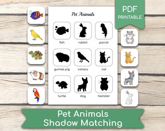 Safari Animals Shadow Matching Game, Safari Animals Worksheet, Matching ...