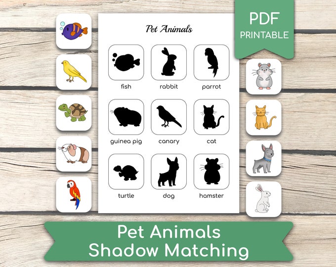 Pet Animals Shadow Matching Game, Pet Animals Worksheet, Matching ...