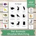 Pet Animals Shadow Matching Game, Pet Animals Worksheet, Matching ...