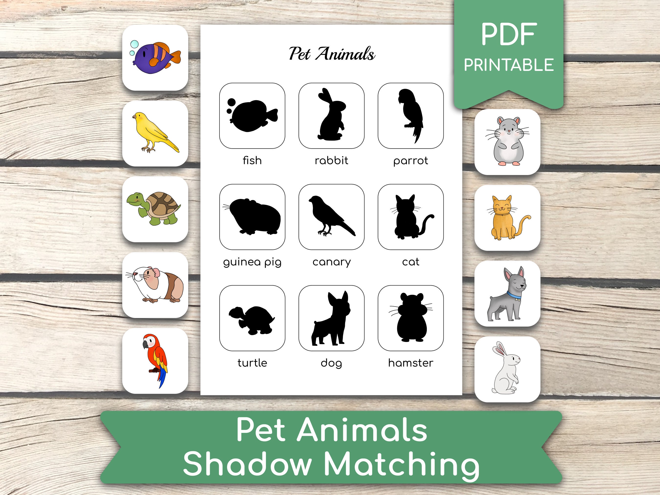 Pet Animals Shadow Matching Game, Pet Animals Worksheet, Matching ...