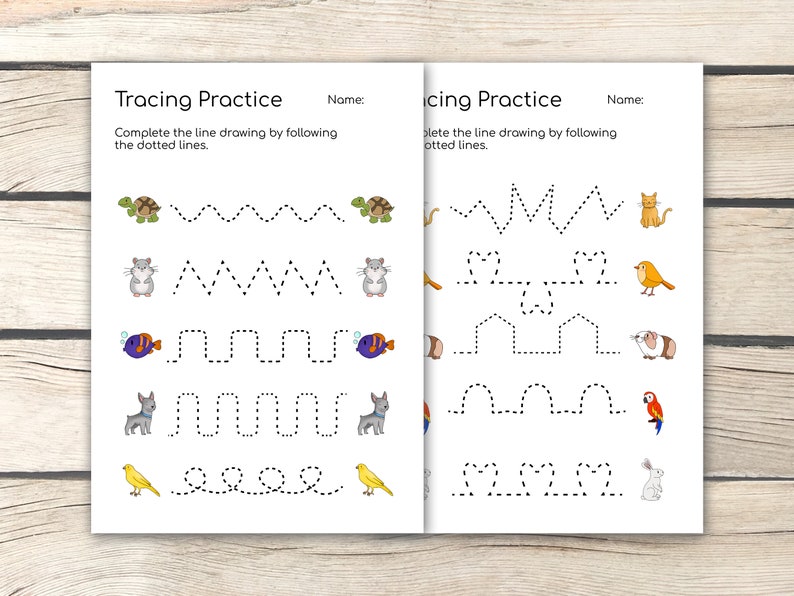 Preschool Line Tracing Practice, Pet Animals Pre-writing Activities • 8 ...