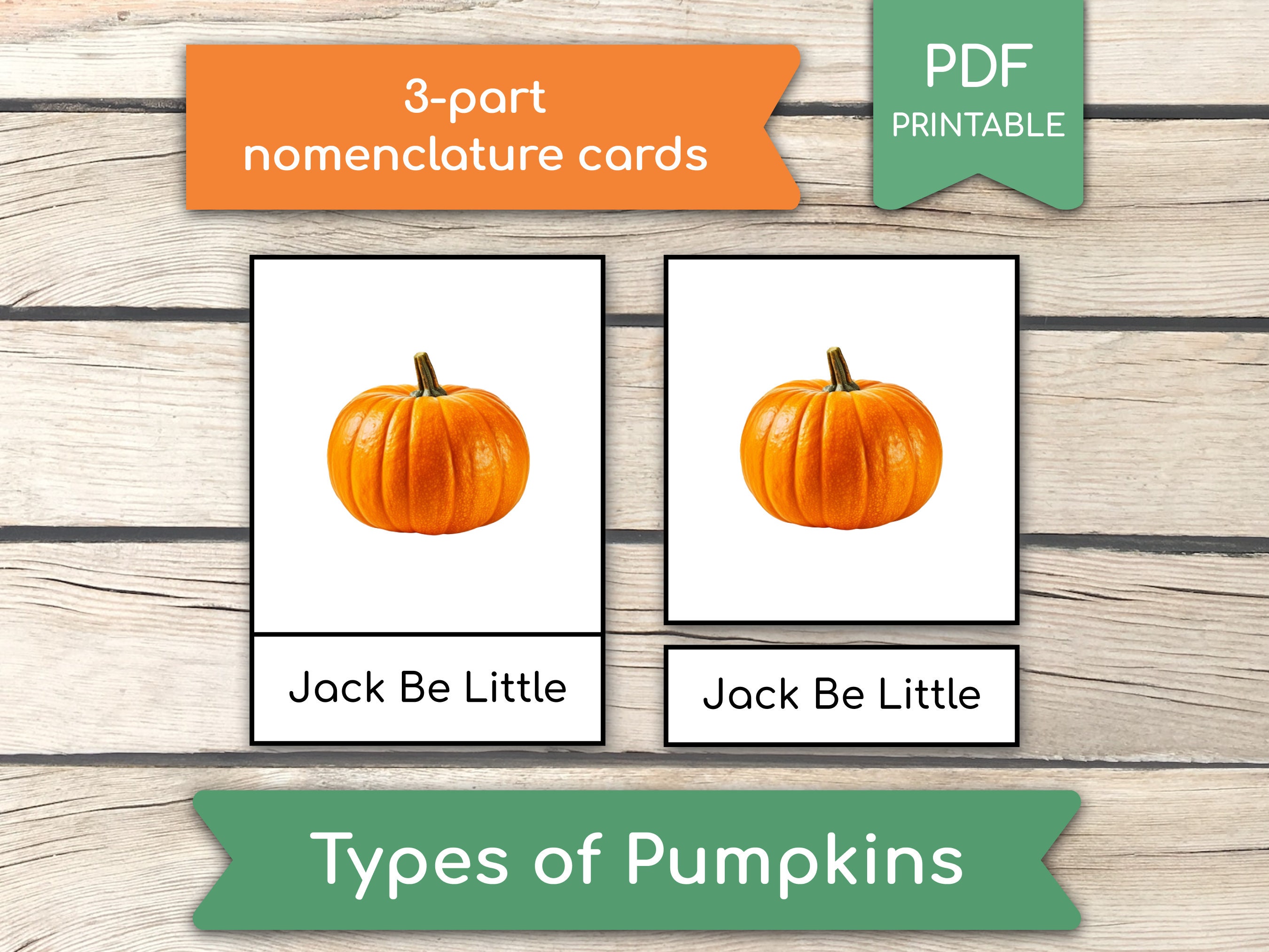 Types of Pumpkins • 10 Types of Pumpkins (real Picture) Montessori ...