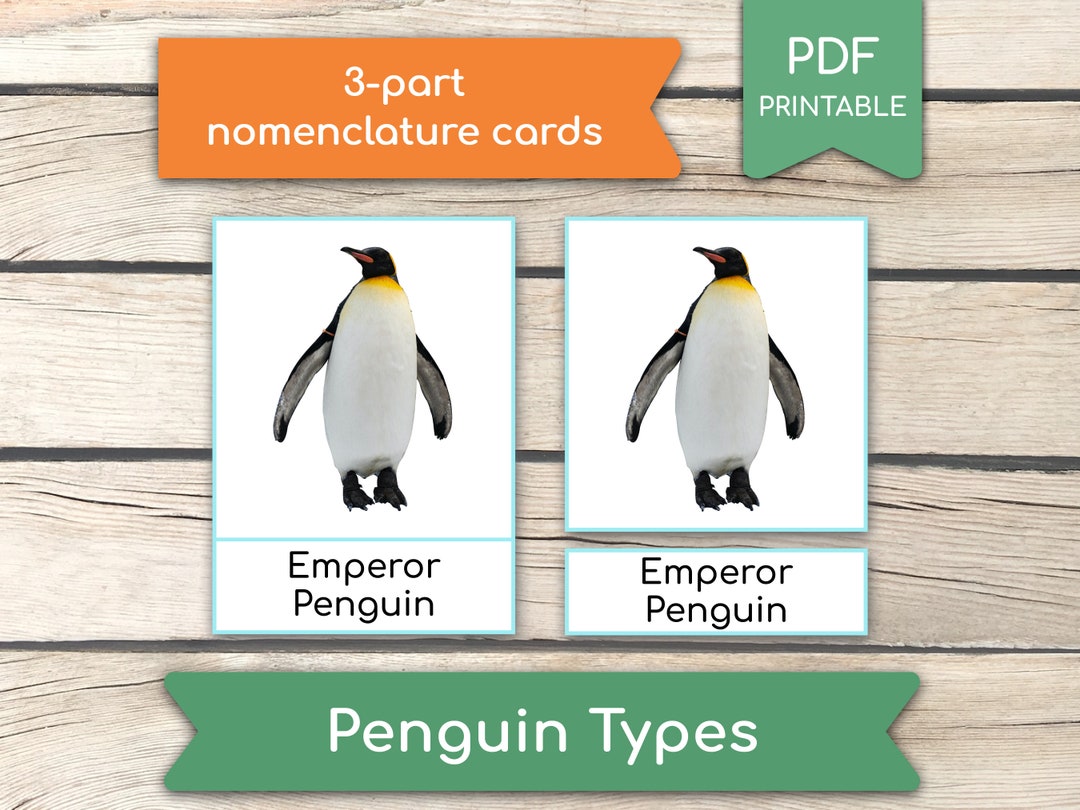 Penguin Types • 12 Penguin Types Montessori Cards, 3-part Cards ...