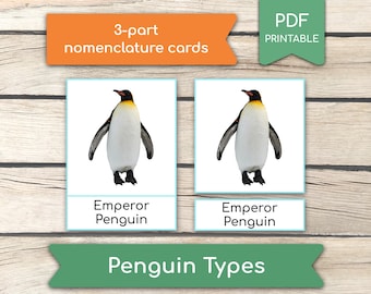 Asian Animals Montessori Cards, 3-part Cards, Nomenclature Flashcards ...
