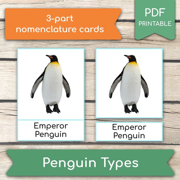 Penguin Nomenclature Cards - Etsy