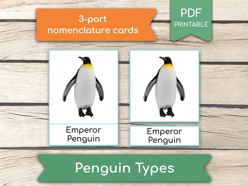 Penguin Types • 12 Penguin Types Montessori Cards, 3-part Cards ...
