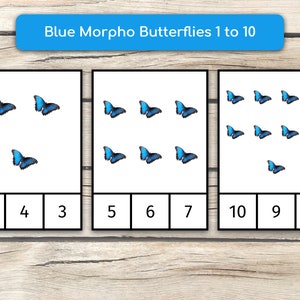 Counting Types of Butterflies 1 to 10, Montessori Cards, Preschool ...