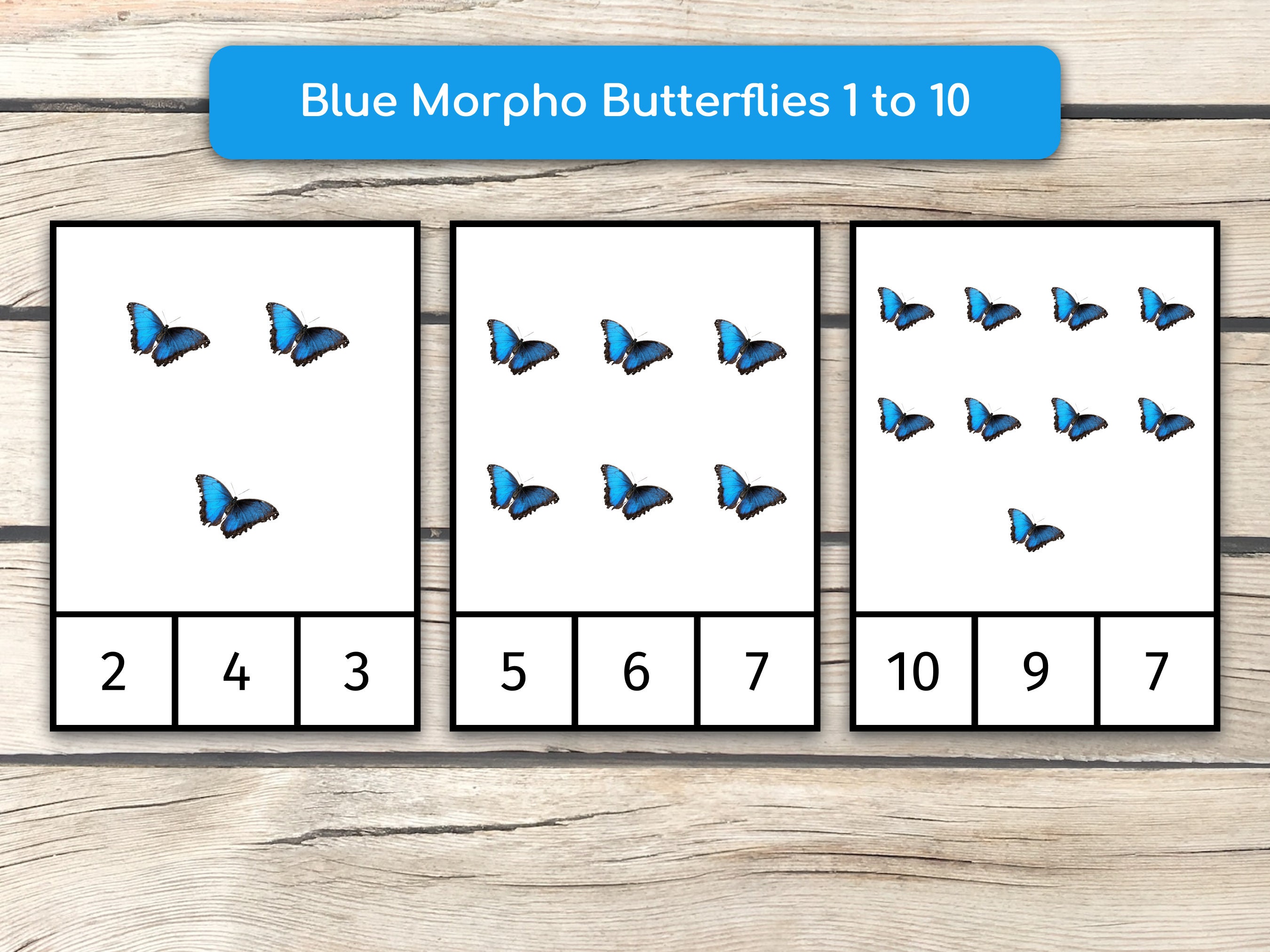 Counting Types of Butterflies 1 to 10, Montessori Cards, Preschool ...