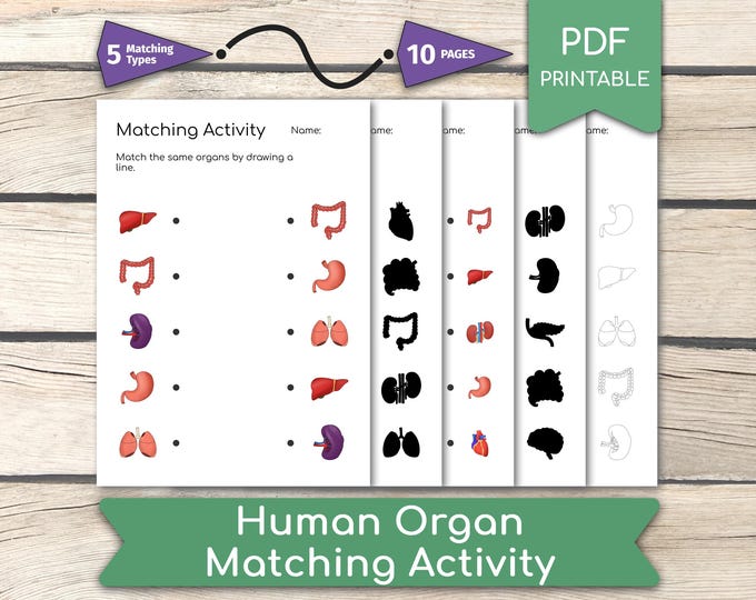 Human Anatomy & Organs | Montessori 3 Part Cards and Labeling Activity ...
