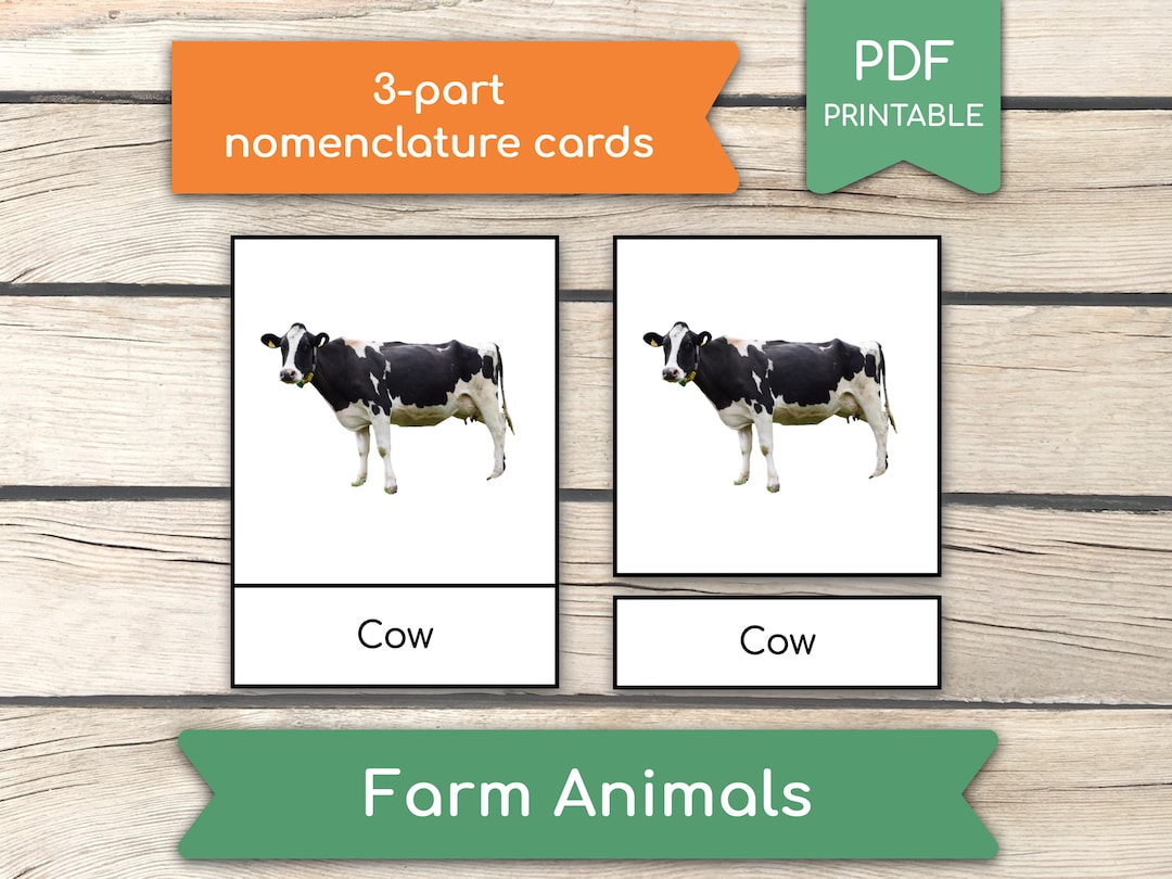 10 Farm Animals (real Pictures) Montessori Cards, Farm Animals Cards ...