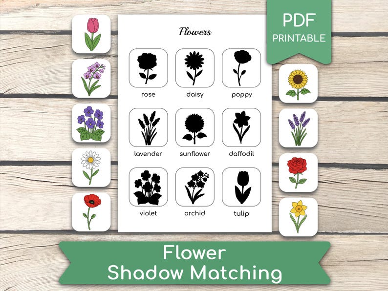 Flowers Shadow Matching Game, Preschool Activity (PDF Printables) - Etsy