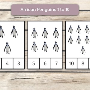 Counting Penguin Types (1 to 10), Montessori Cards, Preschool Counting ...