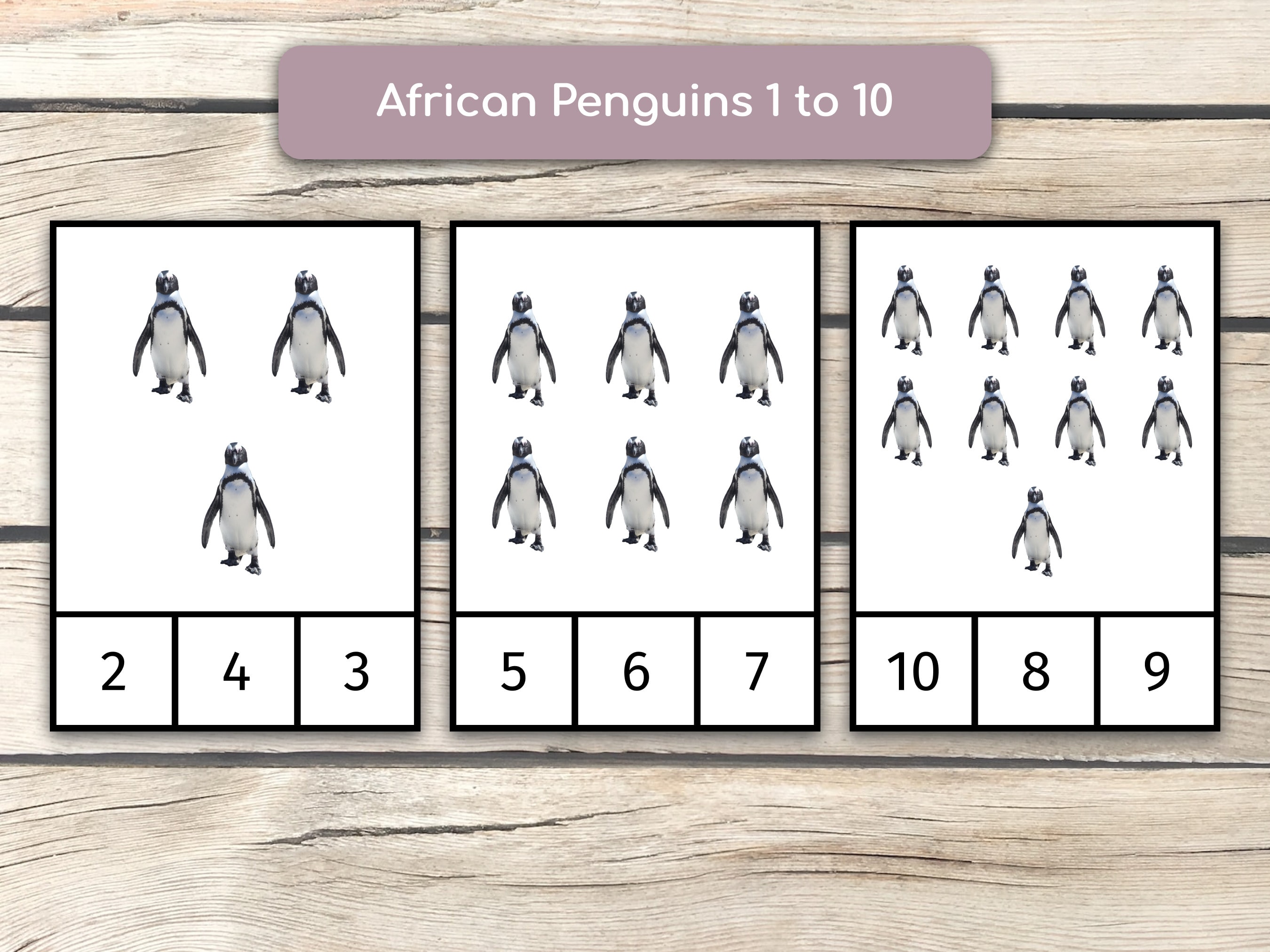 Counting Penguin Types (1 to 10), Montessori Cards, Preschool Counting ...