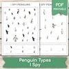 Forest Animals I Spy Worksheet, Forest Animals Activity, I Spy Activity ...