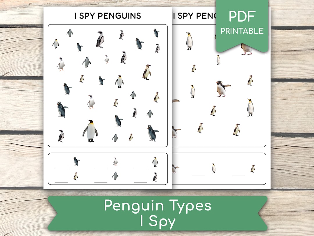 Penguin Types I Spy Worksheet, Penguin Types Activity, I Spy Activity ...