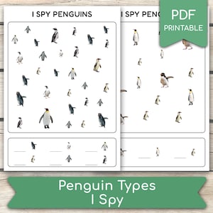 Penguin Types I Spy Worksheet, Penguin Types Activity, I Spy Activity ...
