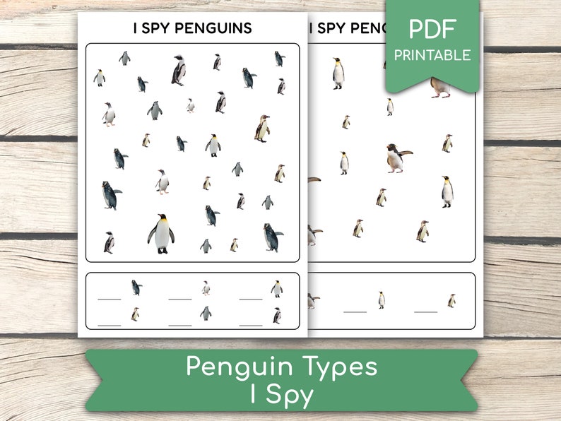 Penguin Types I Spy Worksheet, Penguin Types Activity, I Spy Activity ...
