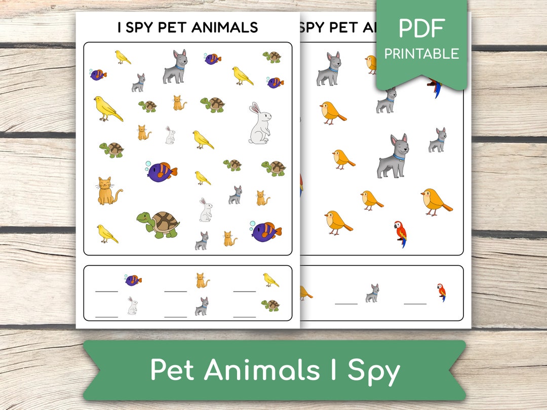 Pet Animals I Spy Worksheet, Pet Animals Activity, I Spy Activity ...