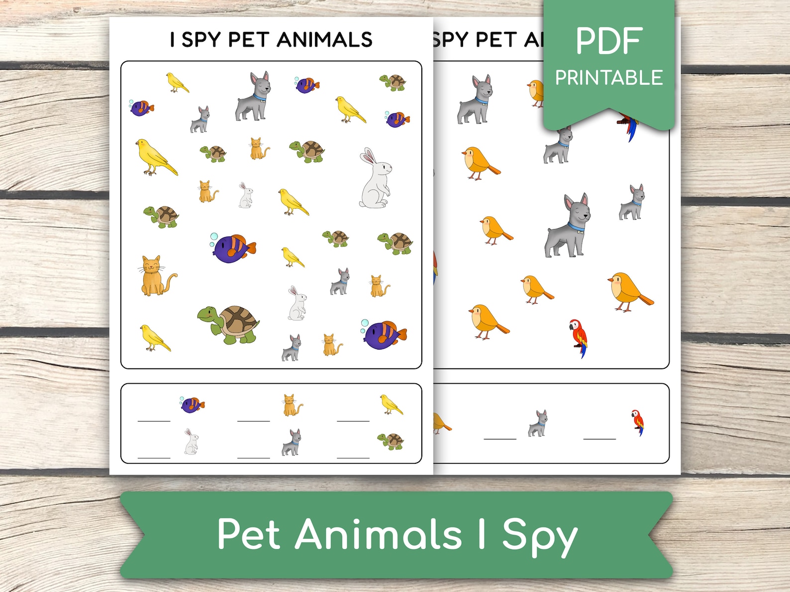 Pet Animals I Spy Worksheet, Pet Animals Activity, I Spy Activity ...