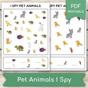 Pet Animals I Spy Worksheet, Pet Animals Activity, I Spy Activity ...