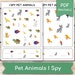 Pet Animals I Spy Worksheet, Pet Animals Activity, I Spy Activity ...