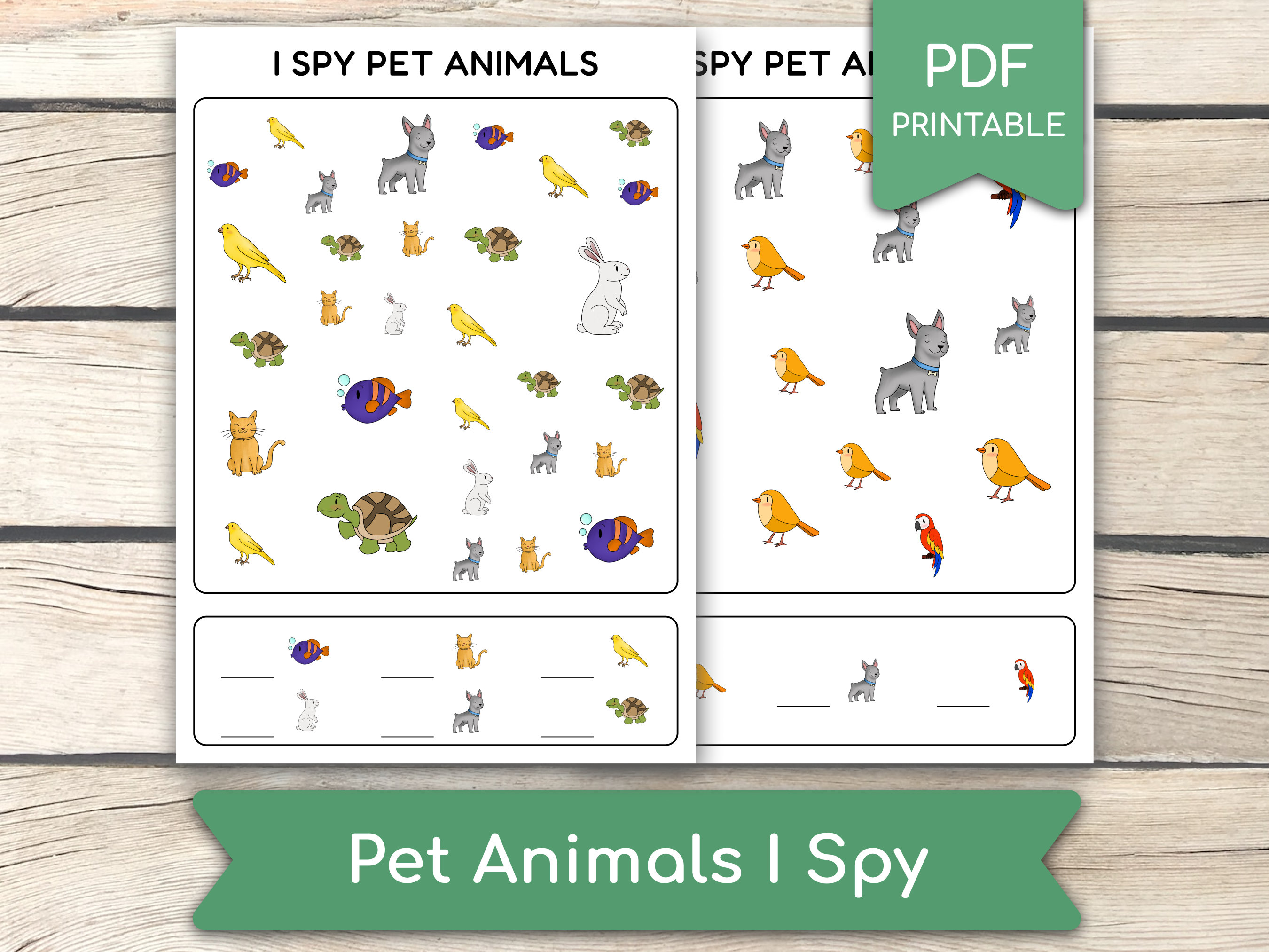 Pet Animals I Spy Worksheet, Pet Animals Activity, I Spy Activity ...