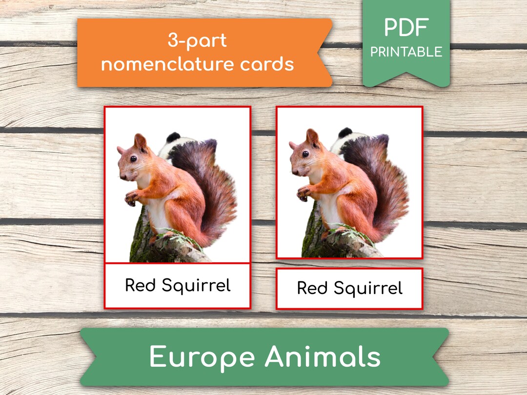 EUROPE ANIMALS • 14 Animals Montessori Cards, 3-part Cards ...
