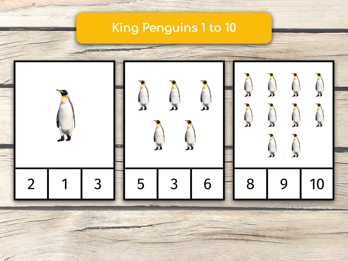 Counting Penguin Types (1 to 10), Montessori Cards, Preschool Counting ...