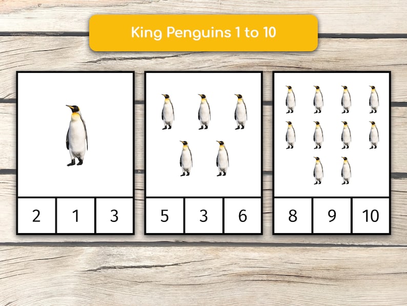 Counting Penguin Types (1 to 10), Montessori Cards, Preschool Counting ...