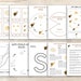 Snail Life Cycle Activity Bundle, Snail Activities, Learn Snail, Snail ...