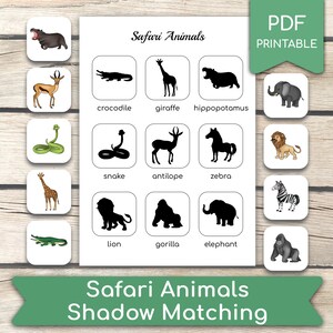 Safari Animals Shadow Matching Game: Preschool Activity (PDF Printables ...