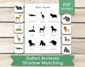 Safari Animals Shadow Matching Game: Preschool Activity (PDF Printables ...