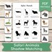 Safari Animals Shadow Matching Game, Safari Animals Worksheet, Matching ...