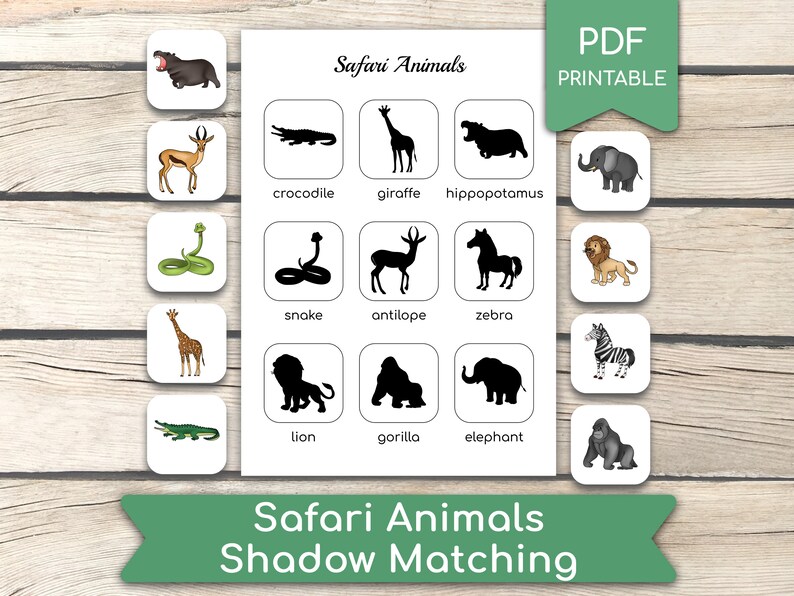 Safari Animals Shadow Matching Game, Safari Animals Worksheet, Matching ...