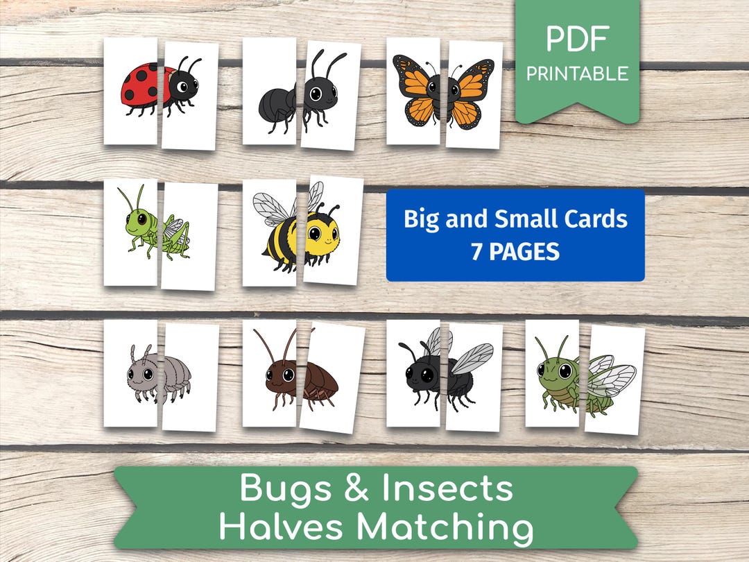 Bugs & Insects Halves Matching Game: Preschool Learning Activity (PDF ...
