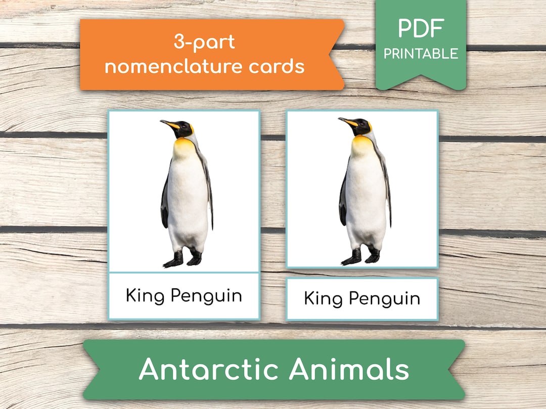 ANTARCTIC ANIMALS • 14 Animals Montessori Cards, 3-part Cards ...